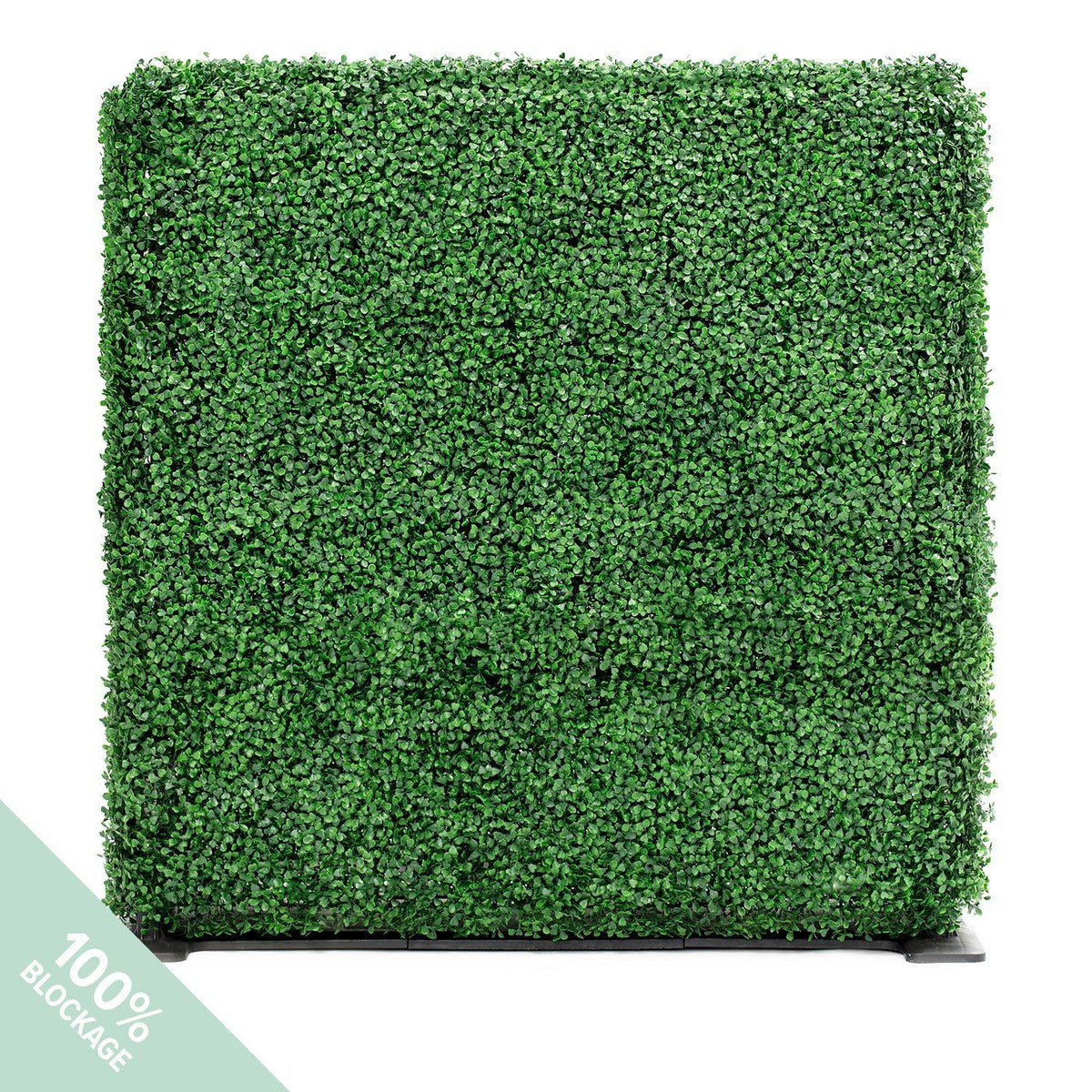 Freestanding Boxwood Hedge | NatraHedge – Natrahedge