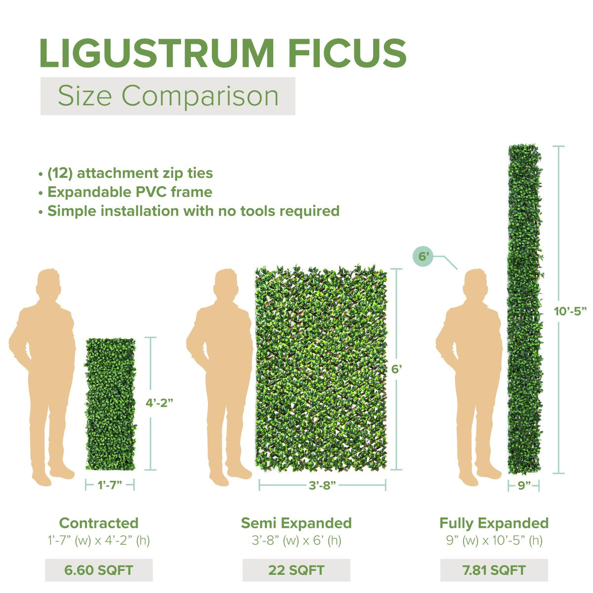 Expandable Ligustrum Ficus Privacy Fence | NatraHedge – Natrahedge
